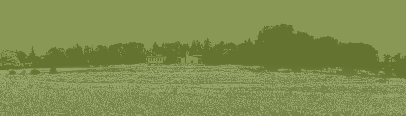 Winter Orchard Pruning | Ignatius Jesuit Centre