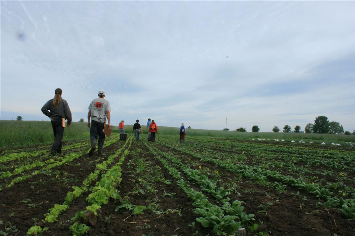 A Sacred Connection: Regenerative Farming & Ignatian Spirituality ...
