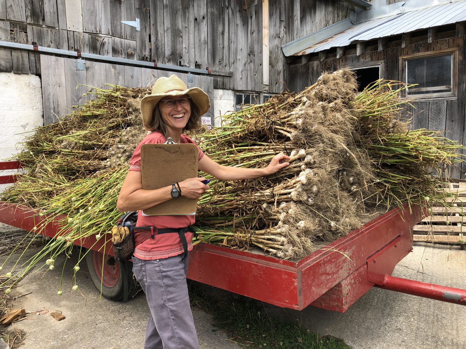 A Primer on Integral Ecology: Unpacking its Meaning and Implications ...