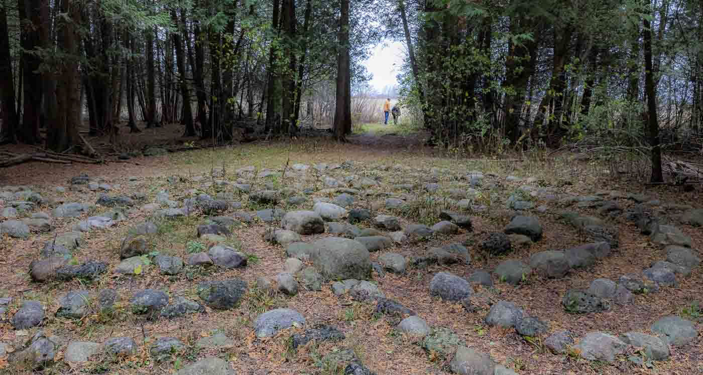 A Primer on Integral Ecology: Unpacking its Meaning and Implications ...