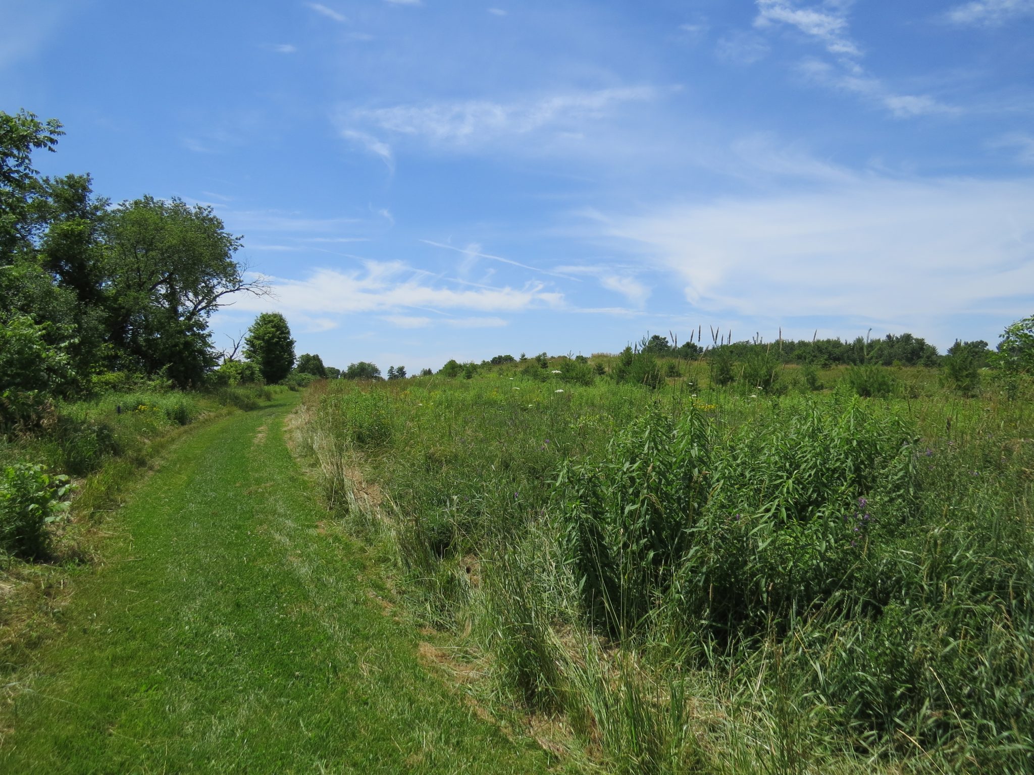A Primer on Integral Ecology: Unpacking its Meaning and Implications ...
