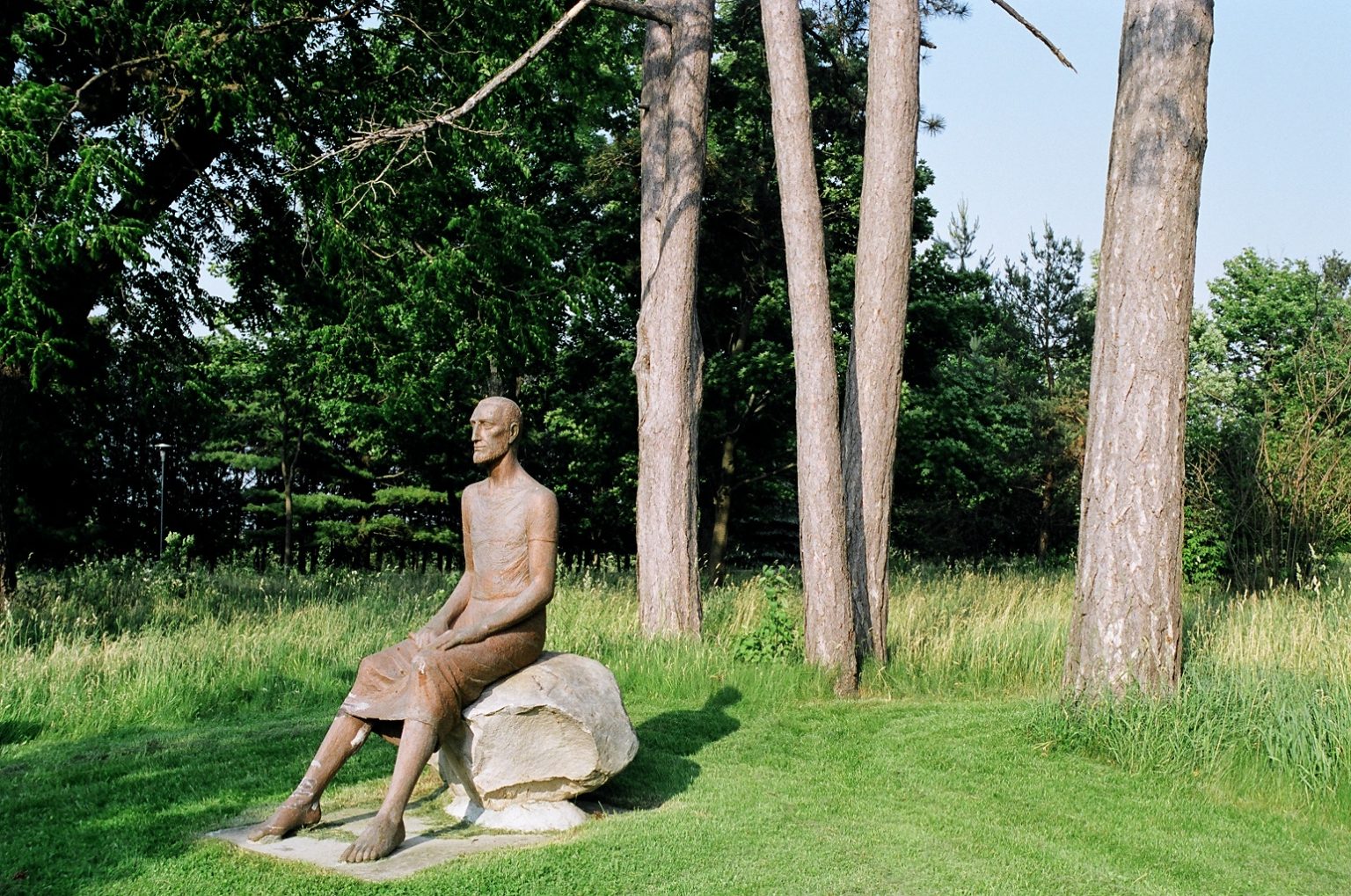 A Primer on Integral Ecology: Unpacking its Meaning and Implications ...